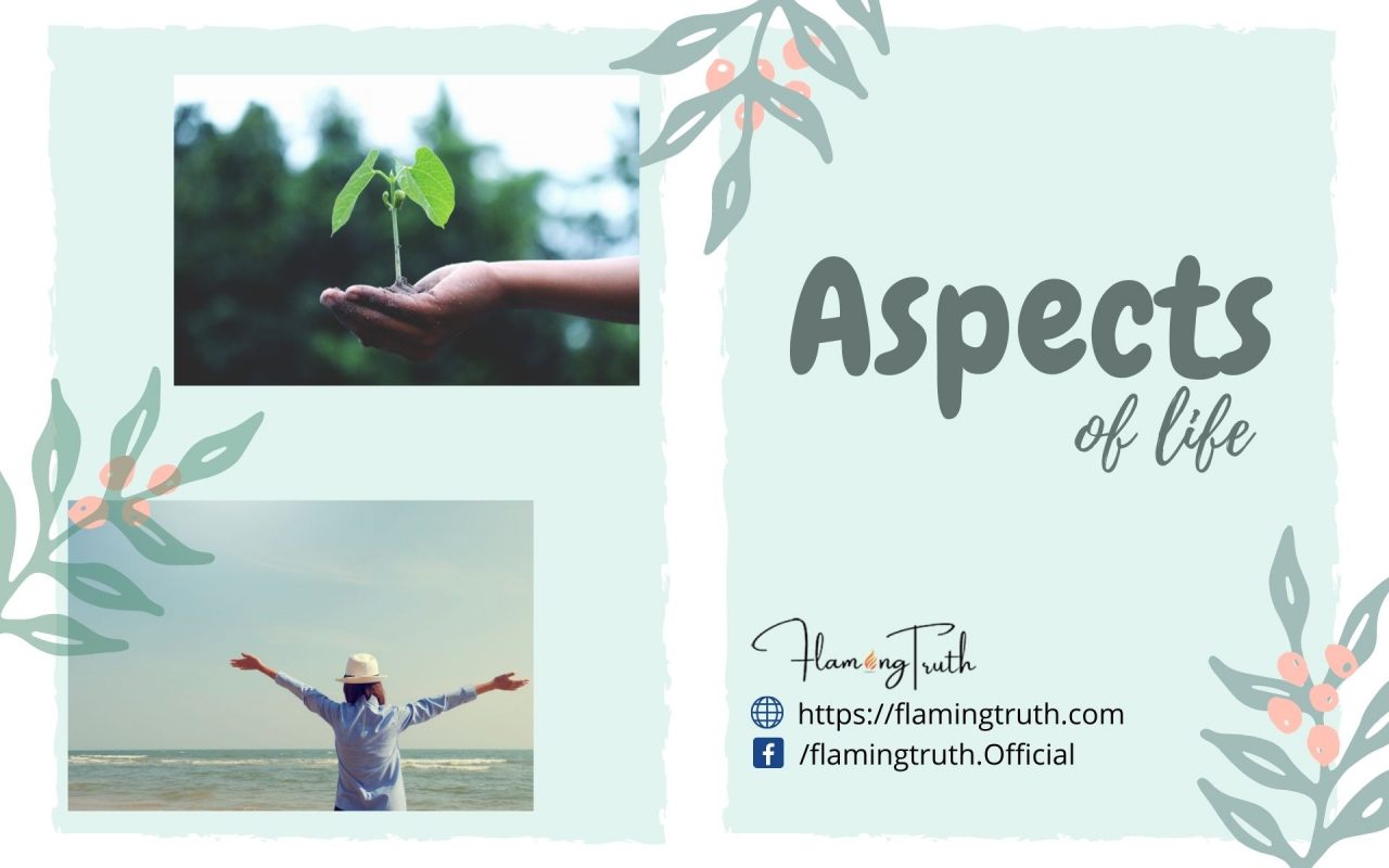 Aspects of life | Flaming Truth